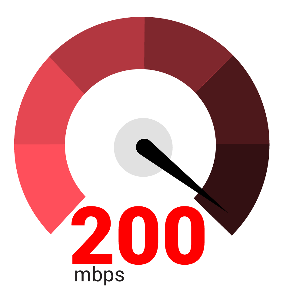 ACE IT Networks Limited